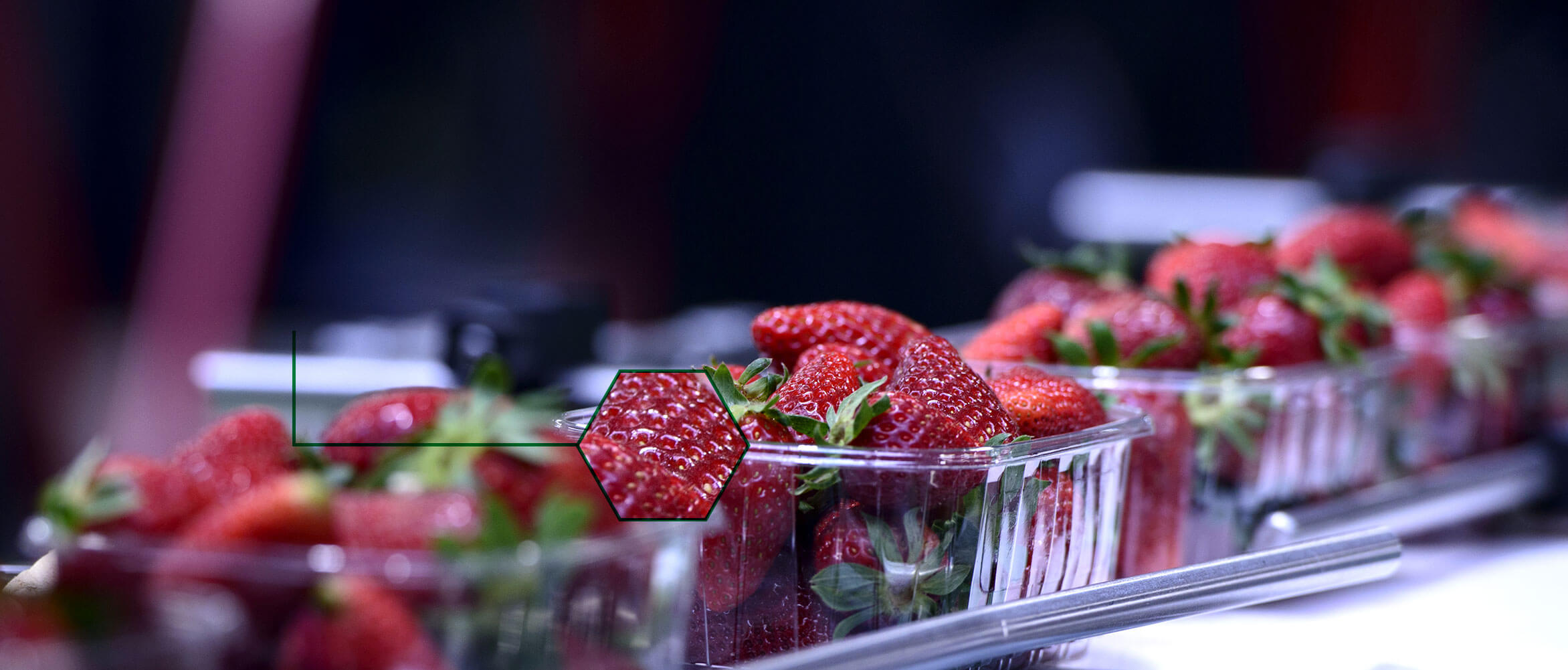 Economist - Defra Jobs - UK Government