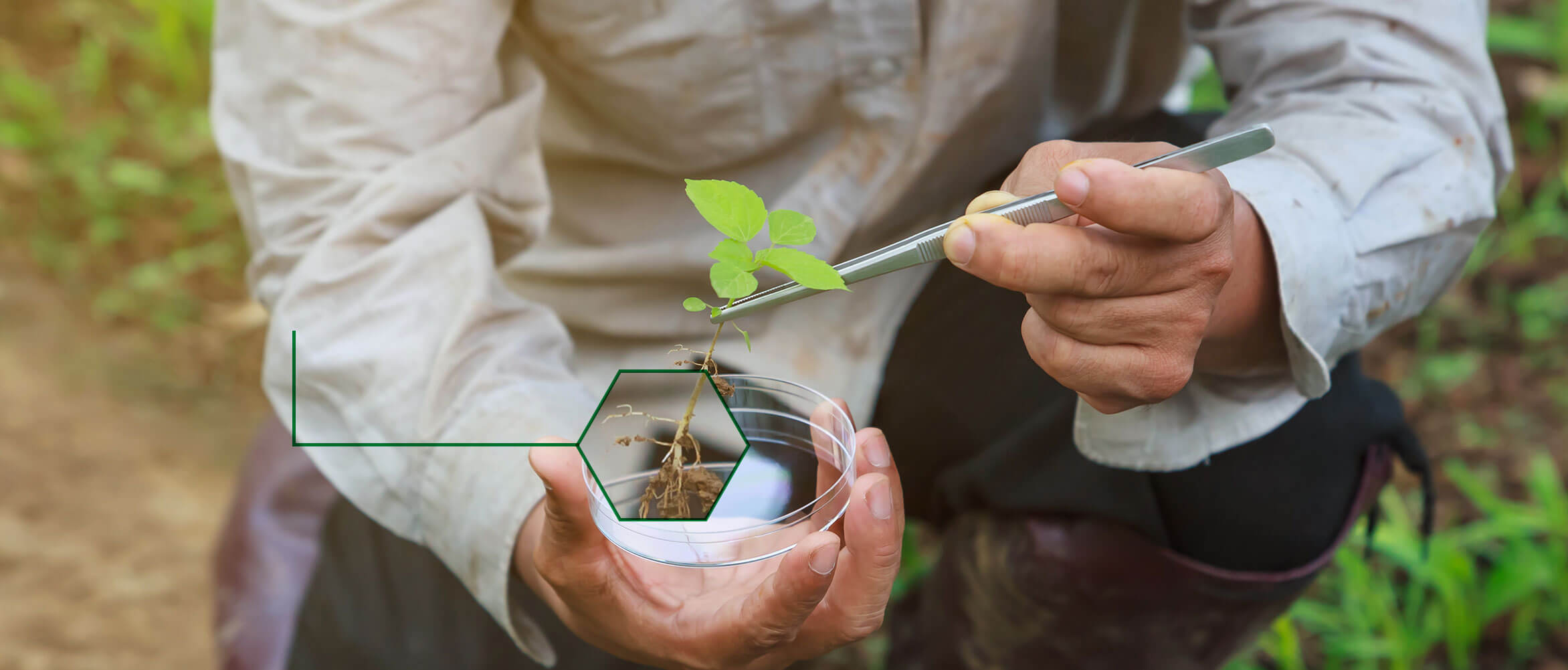 Science - Defra Jobs - UK Government