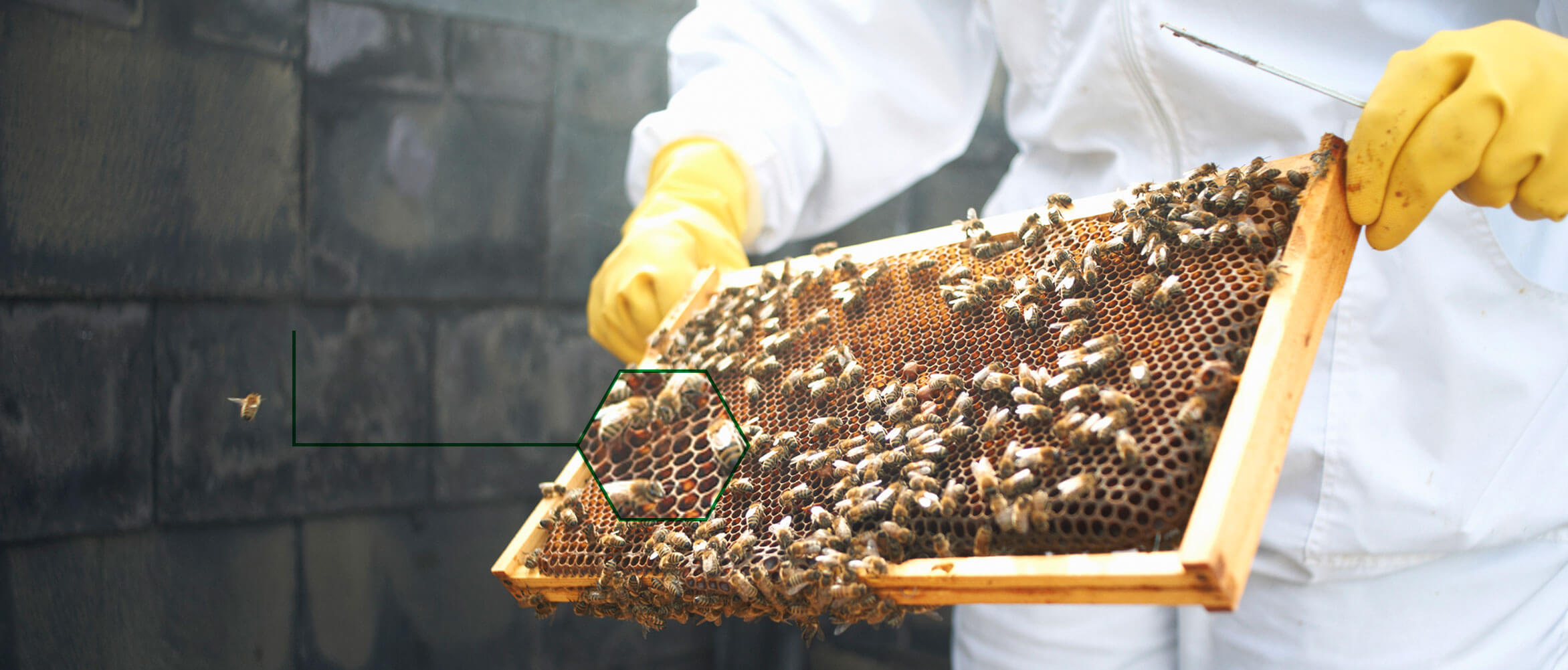 Equality & Diversity - Defra Jobs - UK Government